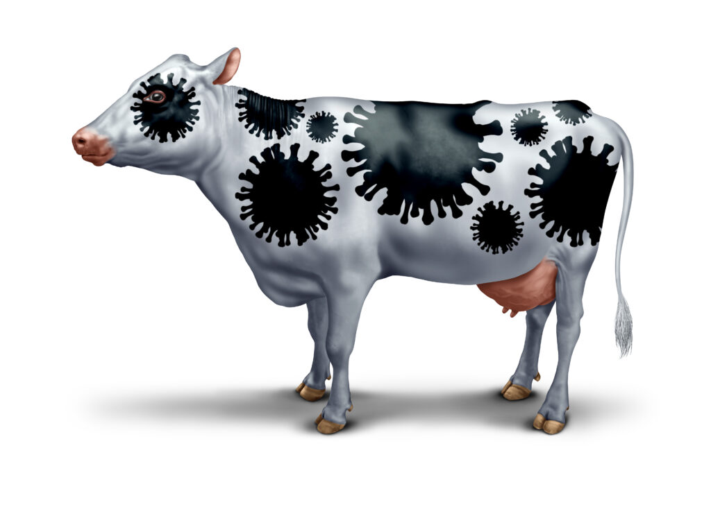 CDC’s Assessment of Human Risk of Infection from H5N1