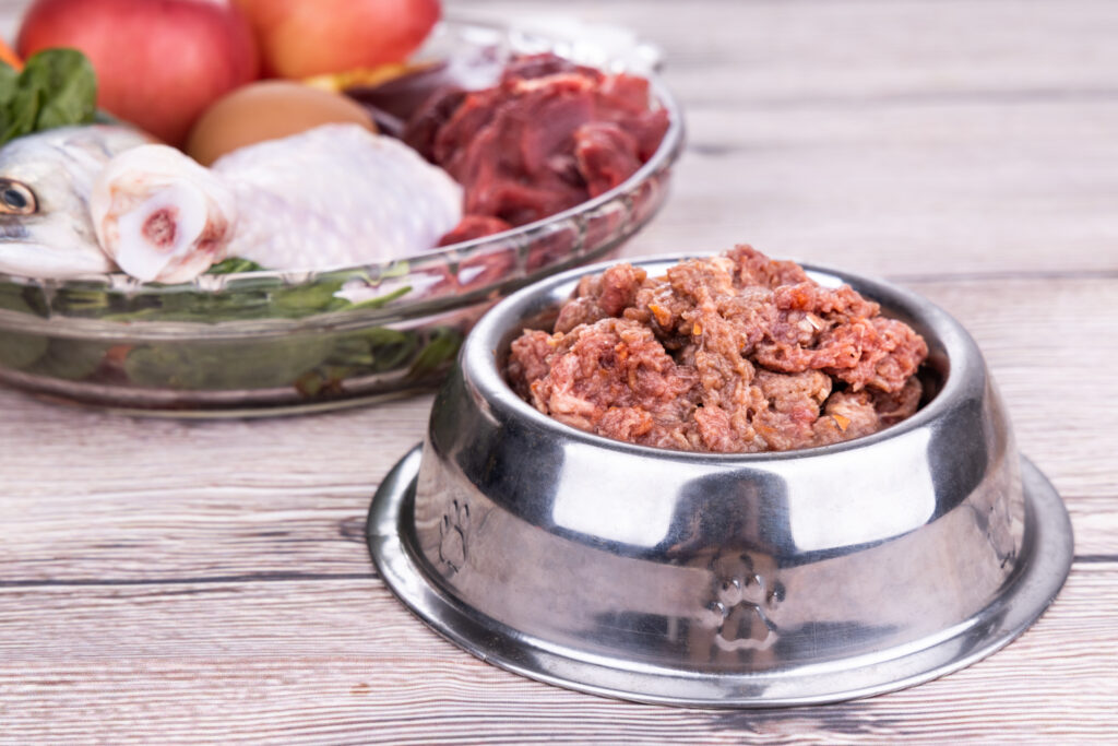 Raw Pet Food Can Endanger Humans as Well as Pets